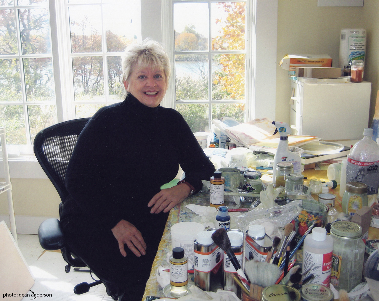 bio - Jane Johnson Studio | Paintings
